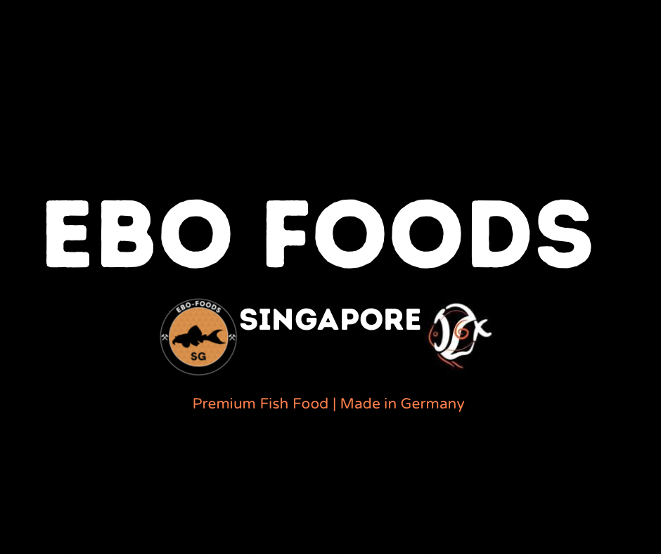 EBO FOODS — jzxonline