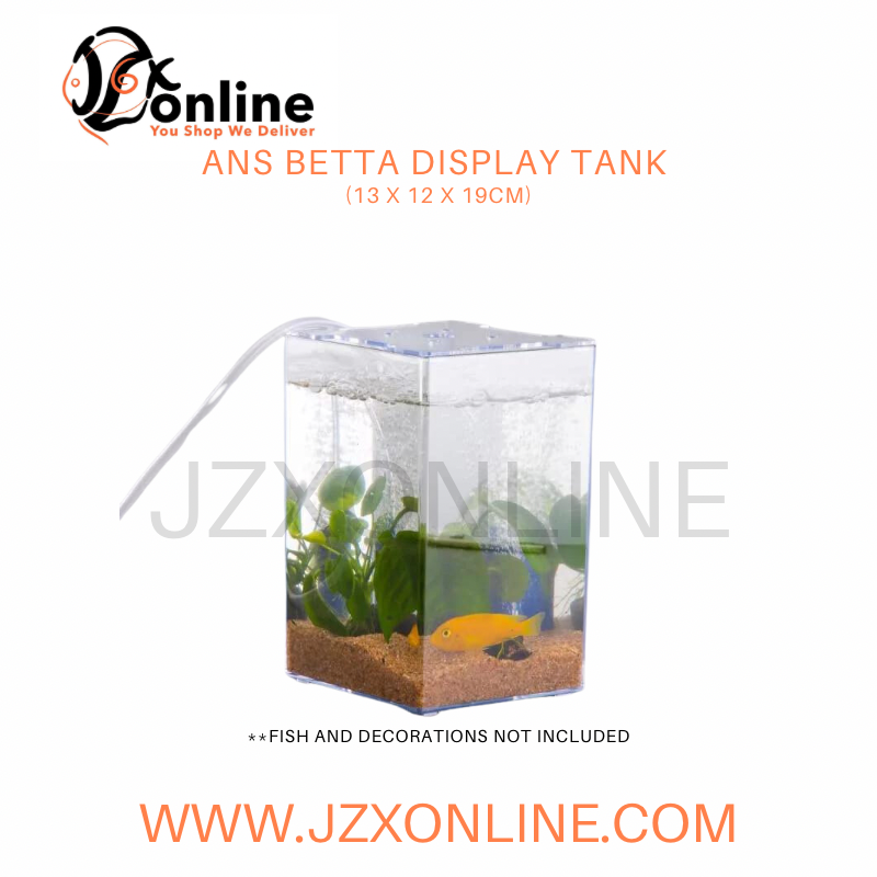 ANS Betta Display Tank (13 x 12 x 19cm) — jzxonline