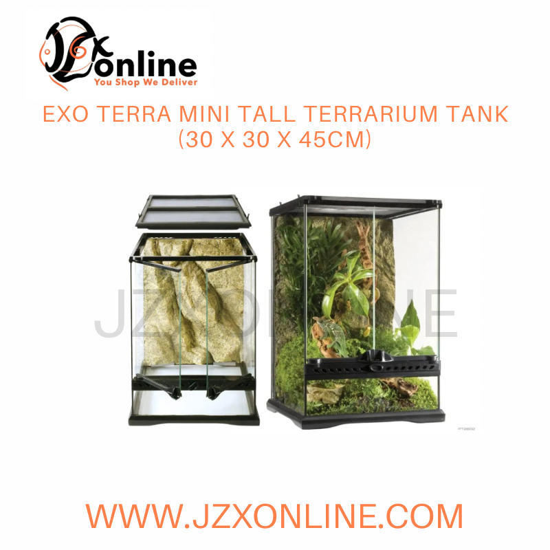 EXO TERRA Mini Tall Terrarium Tank (30 x 30 x 45cm) — jzxonline