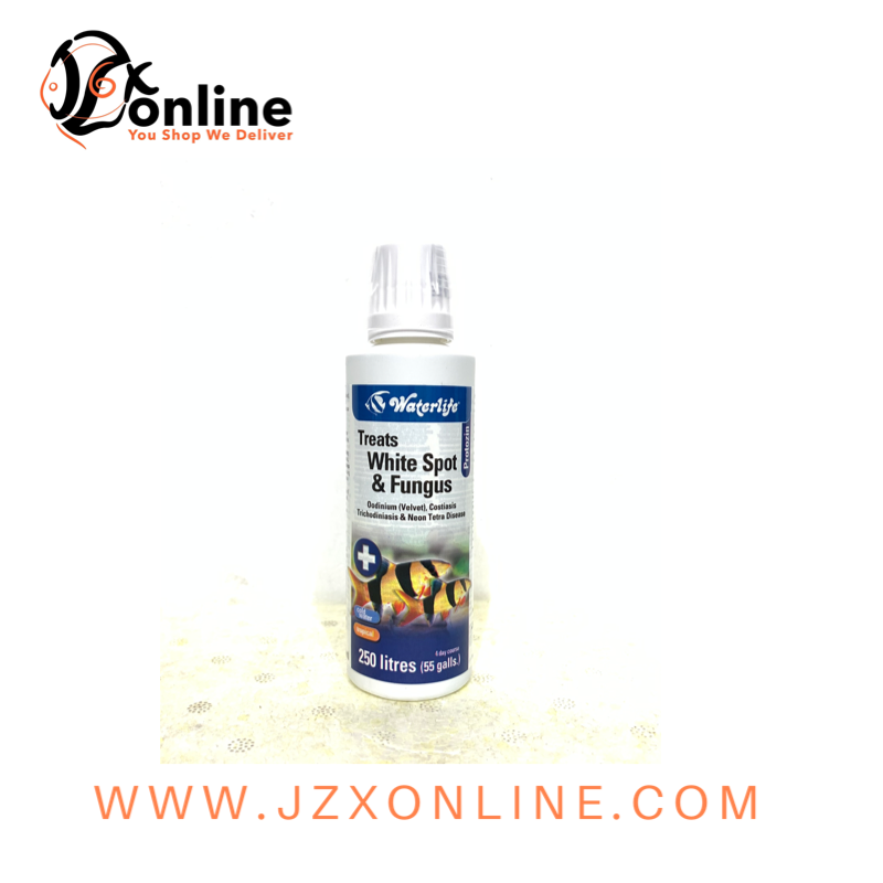 WATERLIFE Protozin - 100ml — jzxonline